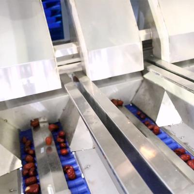 Cina Efficiente macchina di selezione delle date 6 corsie macchina di selezione delle date in vendita