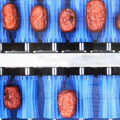 Cina Efficiente macchina di selezione delle date 6 corsie macchina di selezione delle date in vendita