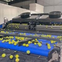 China Stainless Steel Plum Sorting Machine for Internal Quality Inspection for sale