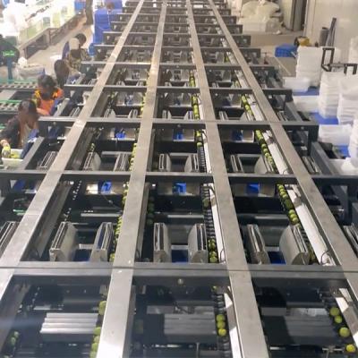 China Sortmachine voor het sorteren van pruimen van roestvrij staal voor interne kwaliteitscontrole Te koop