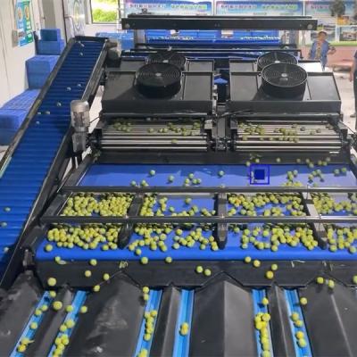 China 360° rotatie scanner pruim Toepassing 8 rijstroken industriële automatiseringssysteem Te koop
