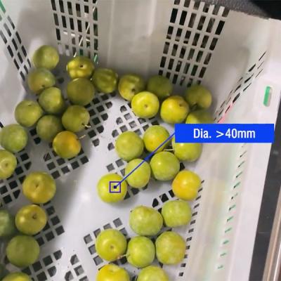 China 360° rotatie scanner pruim Toepassing 8 rijstroken industriële automatiseringssysteem Te koop