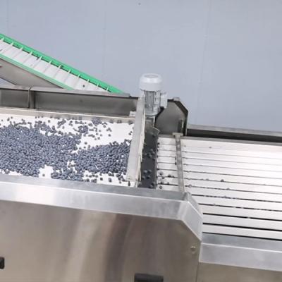 China Computersteuerung Blueberry Sortiermaschine 360° Rotationsscan zu verkaufen