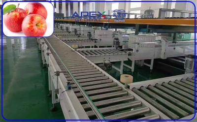 China 360 Degree Rotational Scanning Apple Sorting Machine Computer Control for sale