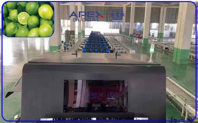 China Intelligente automatische citroensorteermachine 380V / 50Hz Te koop