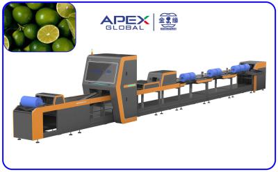 China Intelligente automatische citroensorteermachine 380V / 50Hz Te koop