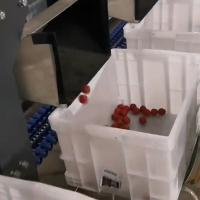 China Automatic Hawthorn Fruit Sorting Machine With PLC Control Stainless Steel for sale