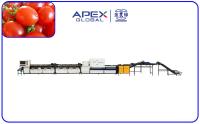 China 99.9% Accurate Automatic Cherry Tomato Sorting Machine PLC Control for sale