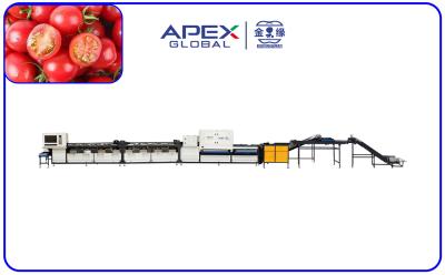 Cina Macchina automatica di selezione dei frutti di ciliegio e pomodoro in acciaio inossidabile con sistema di controllo PLC in vendita