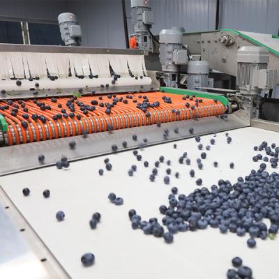 China Stainless Steel and Automatic Blueberry Fruit Sorting Machine - 99.9% Accuracy for sale