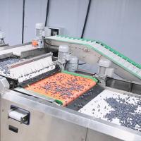 China Convenient Computer Control Blueberry Sorting Machine Stainless Steel for sale