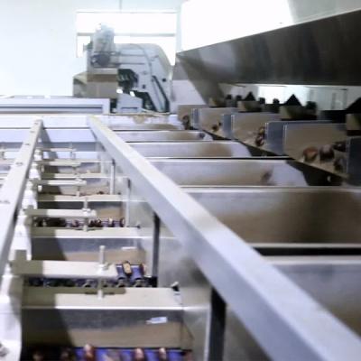 China Meerdere rijstroken nummer opties Kastanje sorteermachine met CE-certificaat Te koop