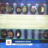 China High Efficiency 2 Ton Output Chestnut Sorting Machine Low Air Consumption for sale