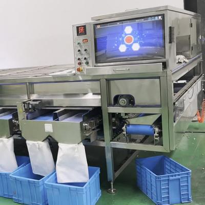 Cina 380V 1T CapacitàPistachio Sorting Machine 98% Accuratezza Qualità coerenza con certificati ISO CE in vendita