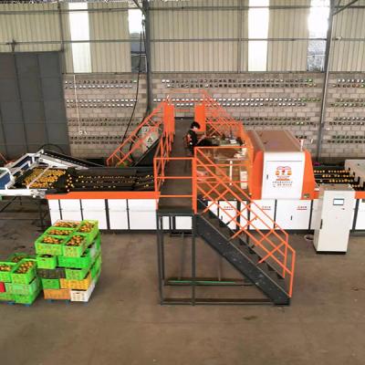 China Fruit orange sorting machine geïntegreerde externe inspectie en interne detectie Te koop