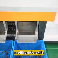 China Precision Elevating Date Quality Assurance With Advanced Dates Sorting Machine for sale