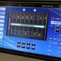 China Innovation Redefined Date Sorting Machine Standarded With Advanced Technology for sale