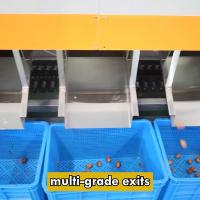 China Innovation Redefined Date Sorting Machine Standarded With Advanced Technology for sale