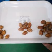 China Innovation Redefined Date Sorting Machine Standarded With Advanced Technology for sale