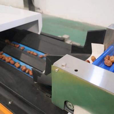 Cina Proofing futuro Data di produzione Sorting Machine Alta capacità con 98% di precisione in vendita