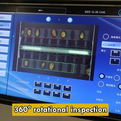 Cina Proofing futuro Data di produzione Sorting Machine Alta capacità con 98% di precisione in vendita