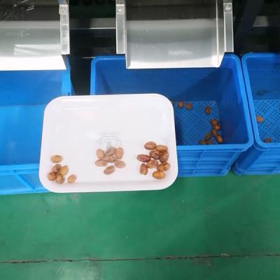 Cina Proofing futuro Data di produzione Sorting Machine Alta capacità con 98% di precisione in vendita