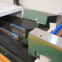 China Efficiency Redefined Date Grading Machinery with High Accuracy And High Capacity for sale