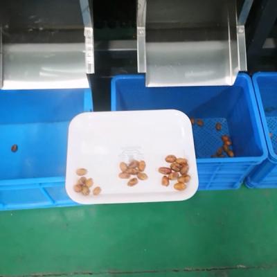 Cina Macchina per la selezione delle palme a motore artificiale di capacità 2 tonnellate con certificato CE MD in vendita