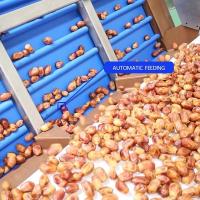 China External Defect Detection 1.4 Tons per Hour 6-Lane Palm Dates Sorting Machine for sale