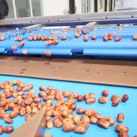 China Advanced Size Division 2.0 Tons Per Hour 8-Lane Palm Dates Sorting Machine for sale