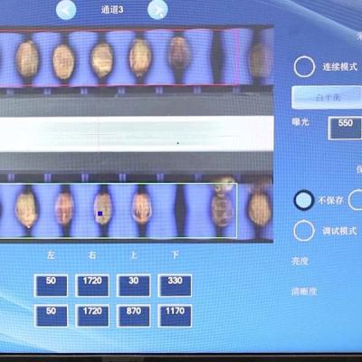 Cina Advanced Size Division 2,0 tonnellate all'ora Macchina per la classificazione delle palme a 8 corsie in vendita
