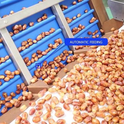 Cina Advanced Size Division 2,0 tonnellate all'ora Macchina per la classificazione delle palme a 8 corsie in vendita