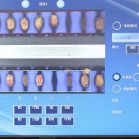 China Comprehensive Defect Detection 1.4 Tons Per Hour 6-Lane Palm Dates Sorting Machine for sale