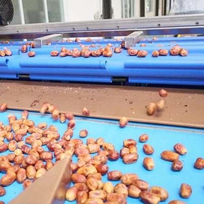 中国 AI駆動サイジング 時給2.0トンの8レーンパーム・ダートムソート機 販売のため