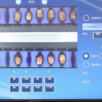 中国 AI駆動サイジング 時給2.0トンの8レーンパーム・ダートムソート機 販売のため