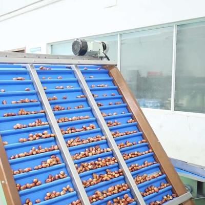 中国 AI駆動サイジング 時給2.0トンの8レーンパーム・ダートムソート機 販売のため