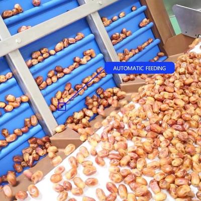 Cina Assicurazione della qualità uniforme 2,0 tonnellate all'ora Macchina per la classificazione delle date di palma a 8 corsie Con certificati CE MD ISO9001 in vendita