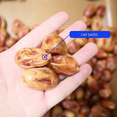 Cina Macchina avanzata per la classificazione delle date di palma a 8 corsie 2.0 tonnellate all'ora Con certificati di MD in vendita