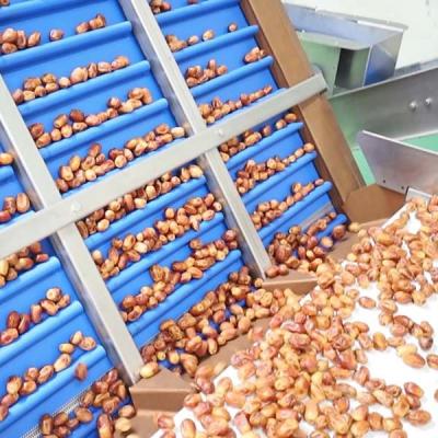 Cina Ispezione ad alta efficienza 1,4 tonnellate all'ora in vendita