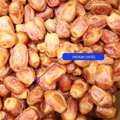 China Advanced Sorting Precision 2.0 Tons Capacity 8-Lane Palm Dates Sorting Machine with CE MD ISO9001 Certificates for sale