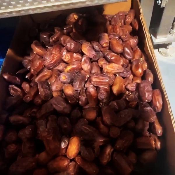 1.4 tonnellate all'ora macchina ottica per la classificazione delle date a 6 corsie