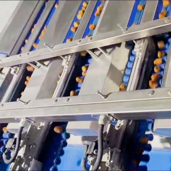 1.4 tonnellate all'ora macchina ottica per la classificazione delle date a 6 corsie
