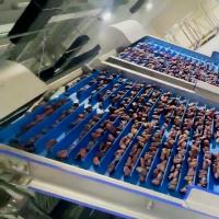 China 1.4 Tons Per Hour 6-Lane Optical Date Sorting Machine – High Precision & Defect Detection for sale