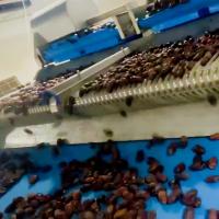 China Computer Control High Capacity Dates Sorting Machine 8 Lane High Precision & Defect Detection for sale