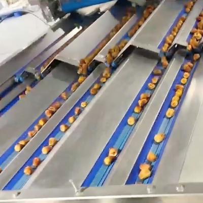 China Advanced Computer Control, High-capacity online Dates Sorting machine, Deep-learning+AI 6-Lane, High Precision & Defect Detection, cCustomizable for sale