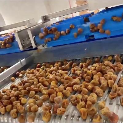 China Advanced Computer Control, High-capacity online Dates Sorting machine, Deep-learning+AI 6-Lane, High Precision & Defect Detection, cCustomizable for sale