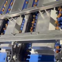 China Industrial Dates Sorting Machine for sale