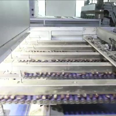 China High Accuracy 8 lanes+8 outlets Chestnut Sorting Machine: Precise Sorting, Zero Loss for sale