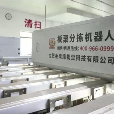 China High Accuracy 8 lanes+8 outlets Chestnut Sorting Machine: Precise Sorting, Zero Loss for sale