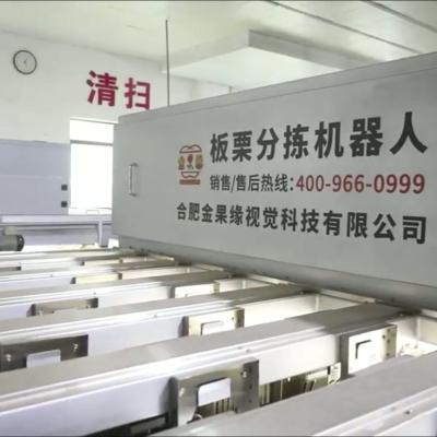 China Labor Saving AI Powered Chestnut Sorting Machine: Smart Assistance, Cost Reduction, Efficiency Boost for sale